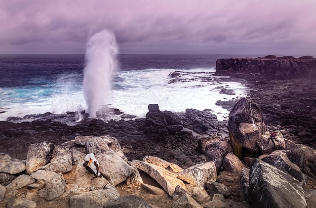 Isla Espanola Las Islas Galápagos - Foto gratis en Pixabay - Pixabay