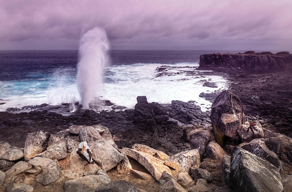 Espanola Island Galapagos Islands - Free photo on Pixabay