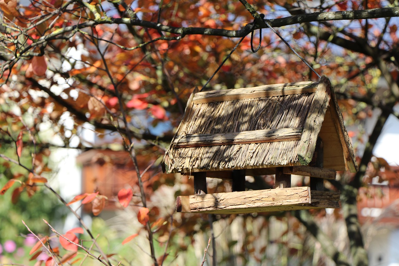 Fall Leaves Bird House - Free photo on Pixabay - Pixabay