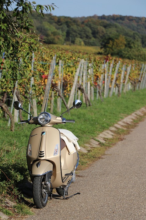 Fall Vineyards Vespa - Free photo on Pixabay