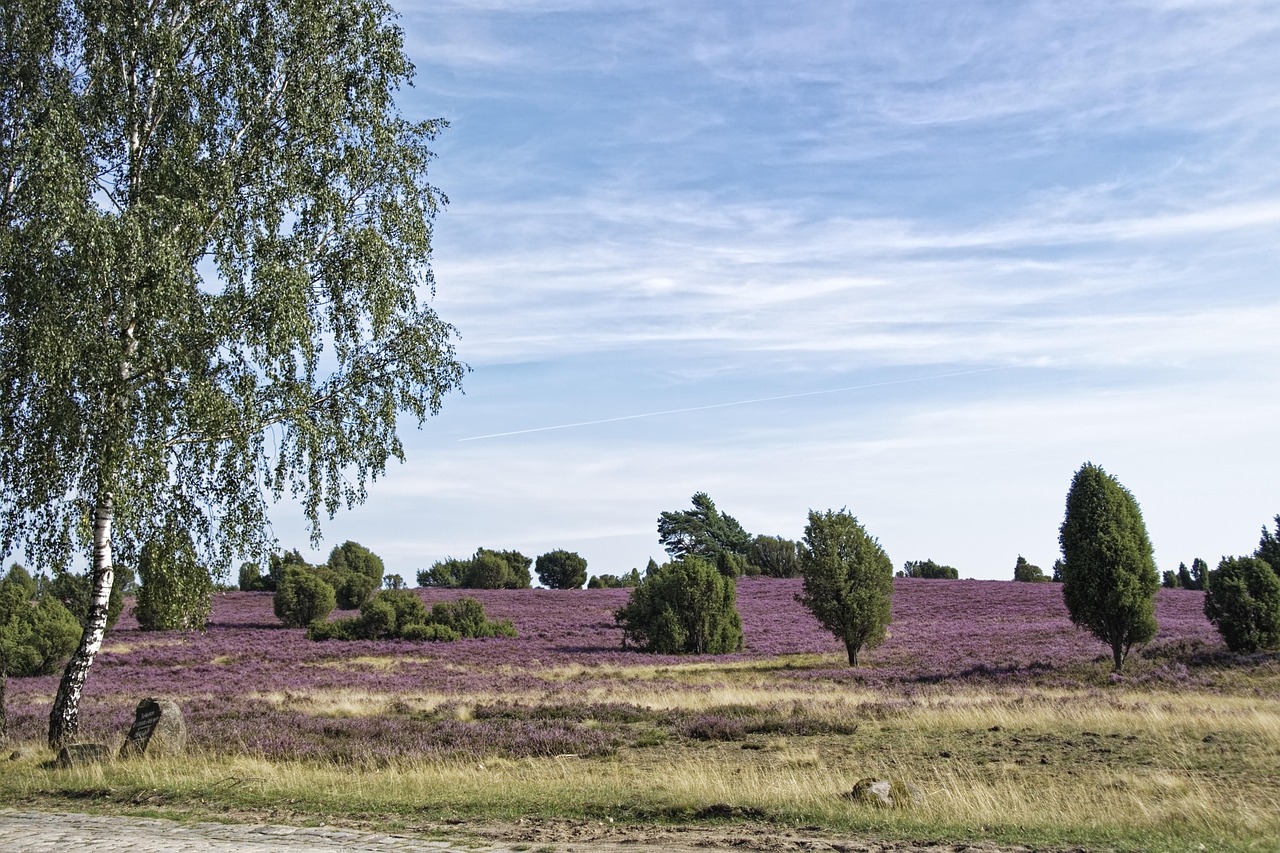 Allemagne Lande De Lunebourg - Photo gratuite sur Pixabay - Pixabay