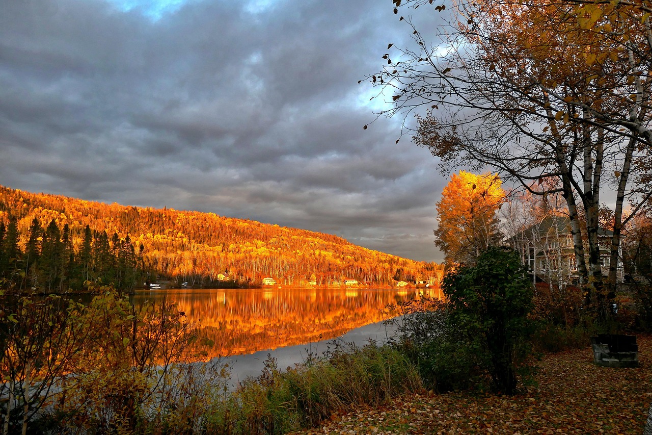 Landscape Nature Fall - Free photo on Pixabay