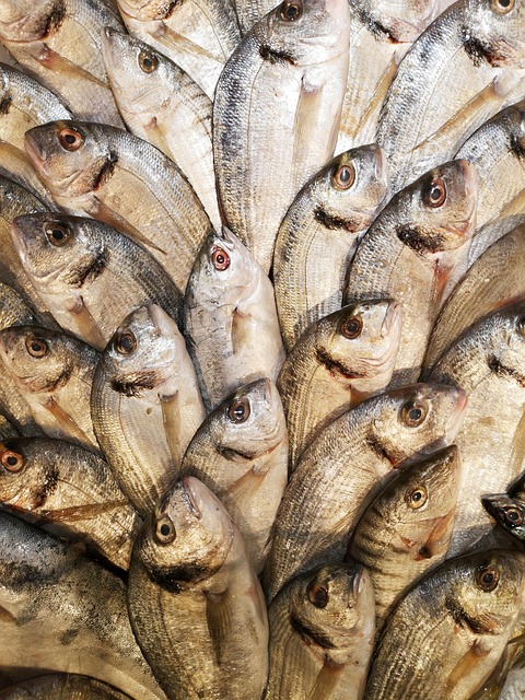 The Fish Sea Food - Free photo on Pixabay - Pixabay