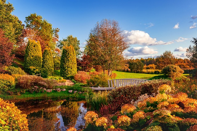 Autumn Nature Landscape - Free photo on Pixabay - Pixabay