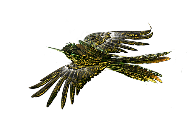 Download Bird, Flying Bird, Transparent. Royalty-Free Stock ...