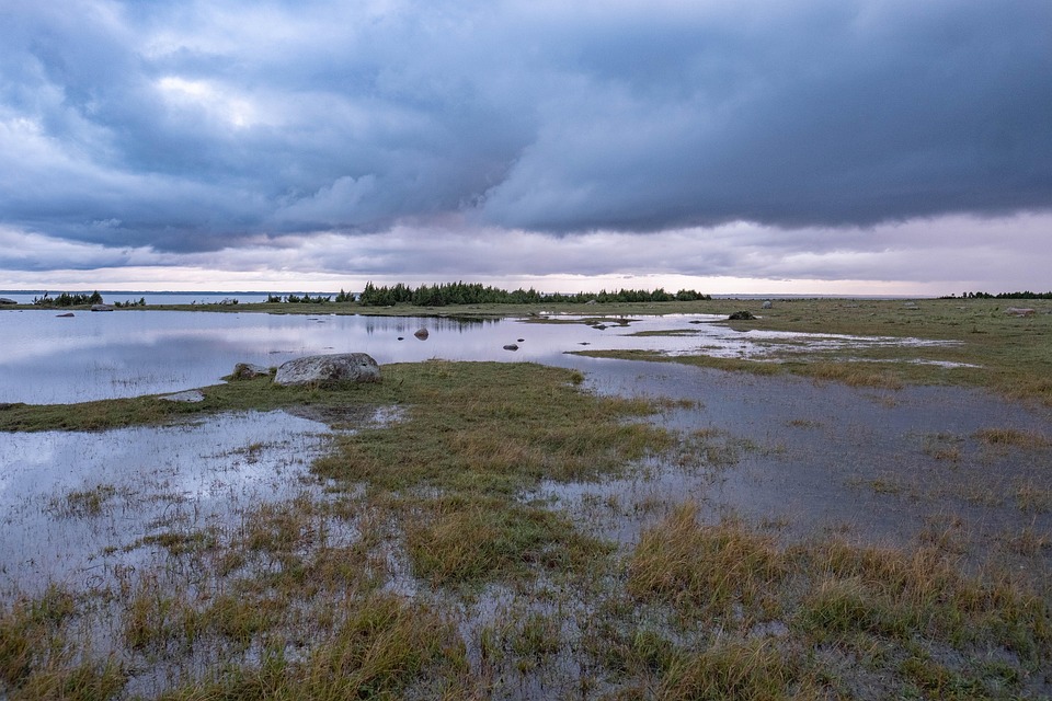 Wetlands Nature Swamp - Free photo on Pixabay