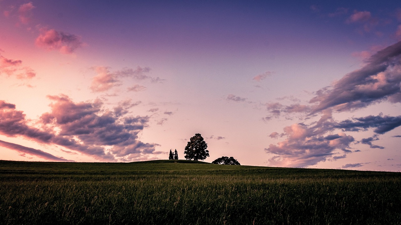 Ciel Nuage Arbre - Photo gratuite sur Pixabay - Pixabay