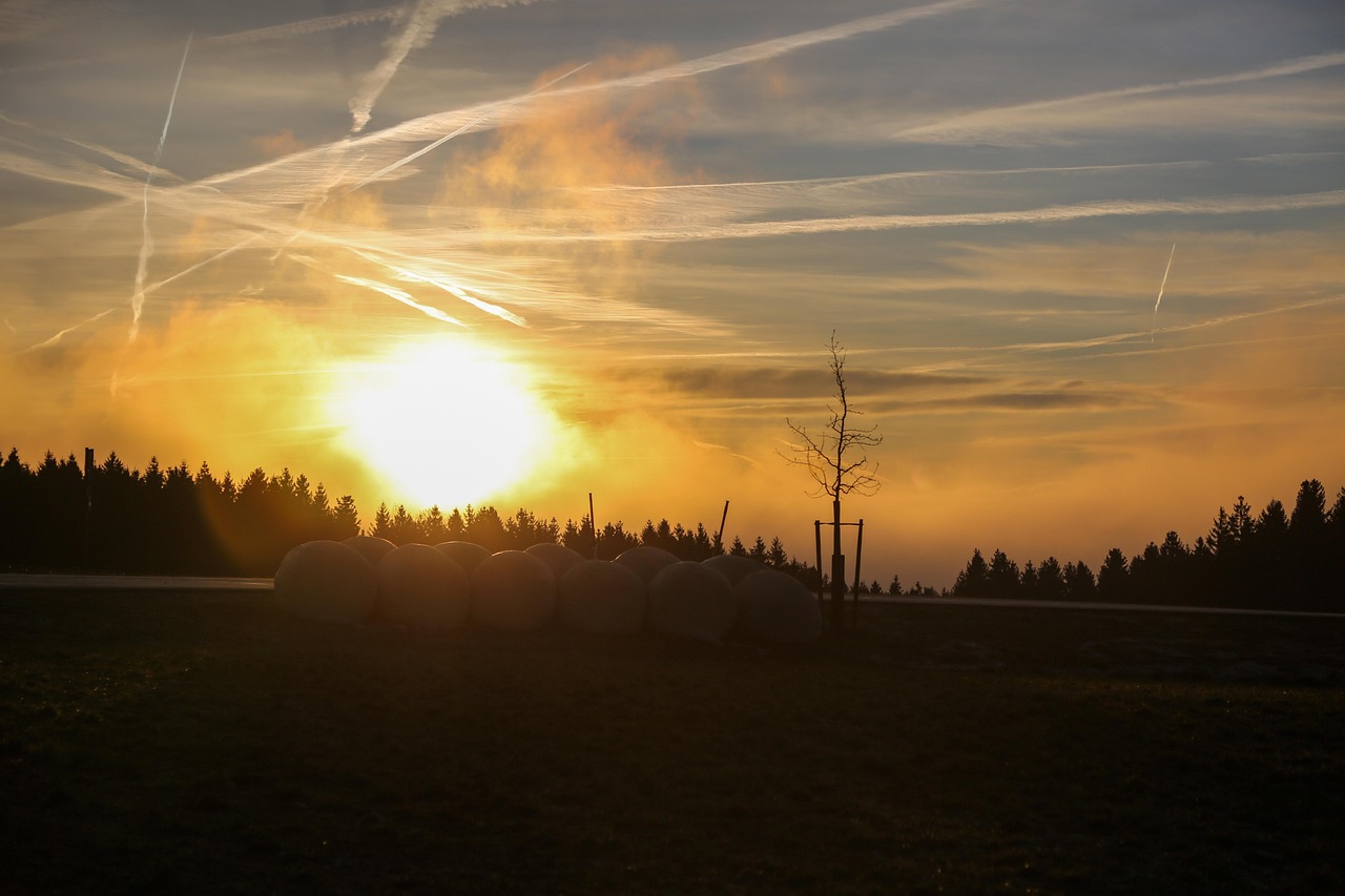 Amanhã Natureza Nascer Do Sol - Foto gratuita no Pixabay - Pixabay