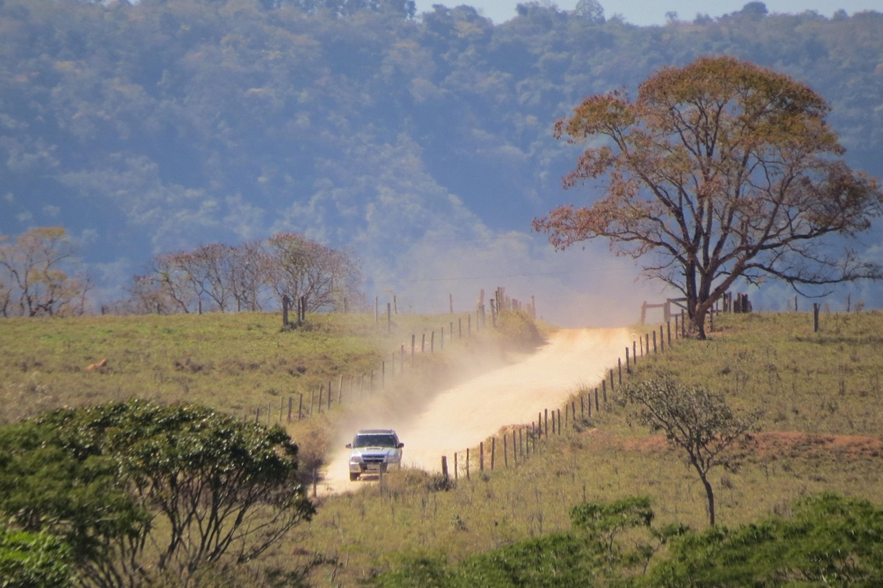 Mais de 800 fotos gratuitas de Cerrado Brasileiro e Cerrado - Pixabay