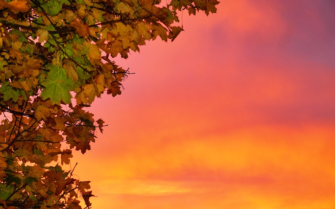 Dawn Morning Sky In The - Free photo on Pixabay - Pixabay