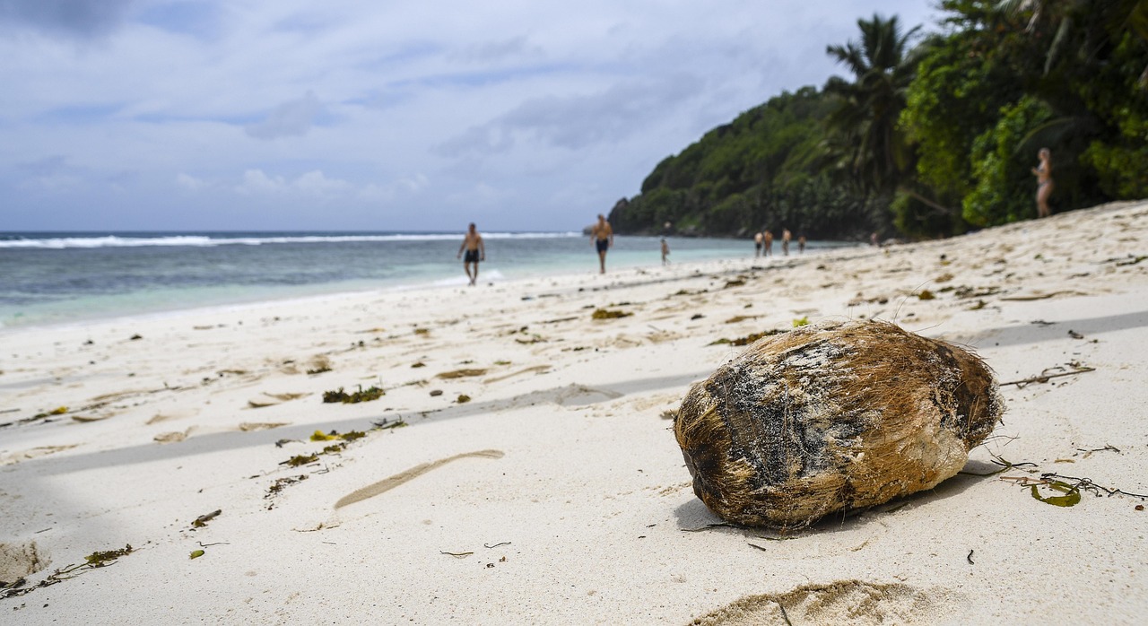 Seychelles Beach Beachfront - Free photo on Pixabay - Pixabay