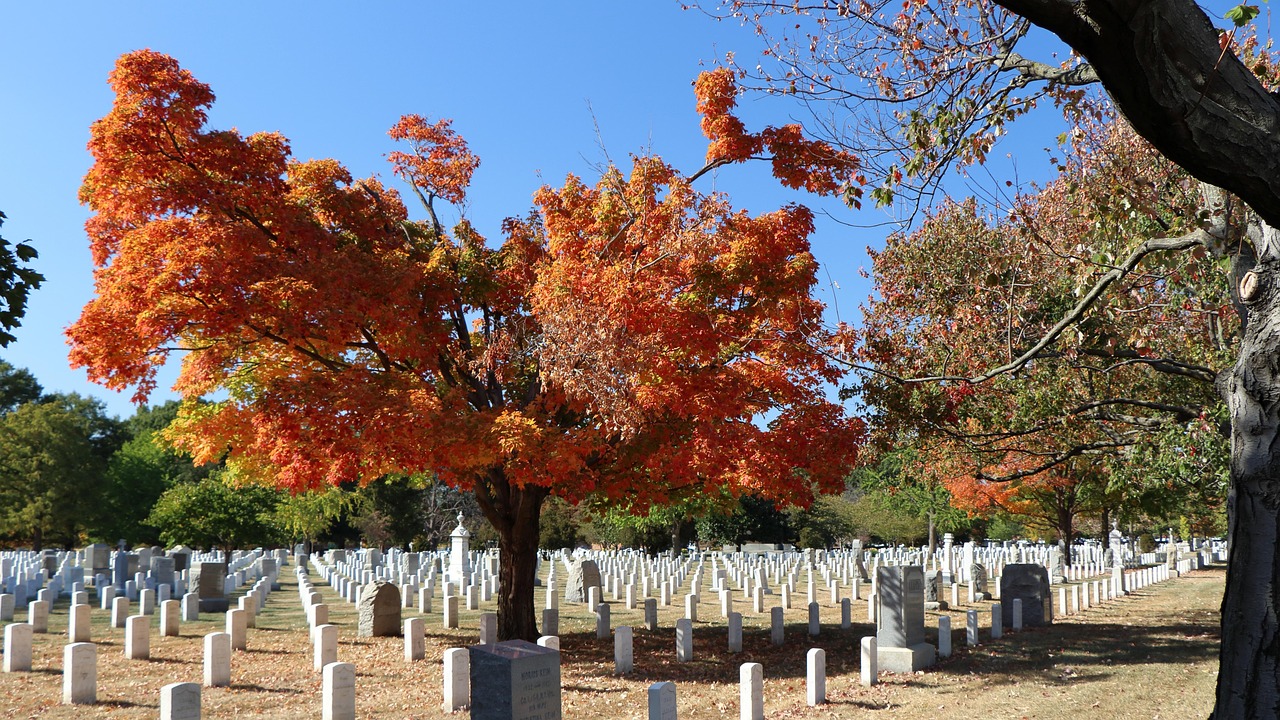 20,000+ Free Arlington National Cemetery & Cemetery Photos - Pixabay