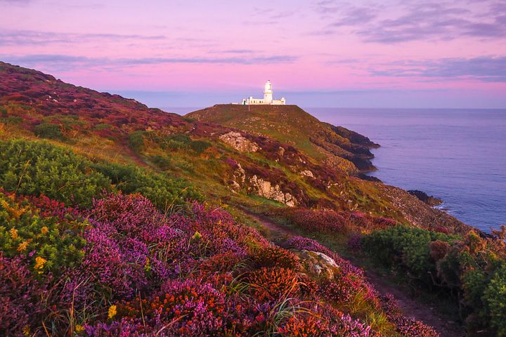 1,000+ Free Wales & Nature Images - Pixabay