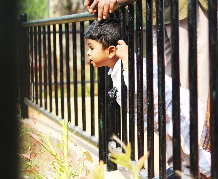 Kid Boy Curious - Free photo on Pixabay