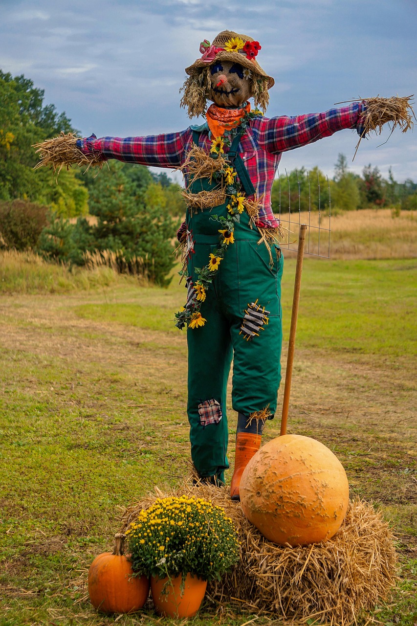 Plus De 400 Images De pouvantail Et De Halloween Pixabay Plus De 400 Images De pouvantail Et De Halloween Pixabay