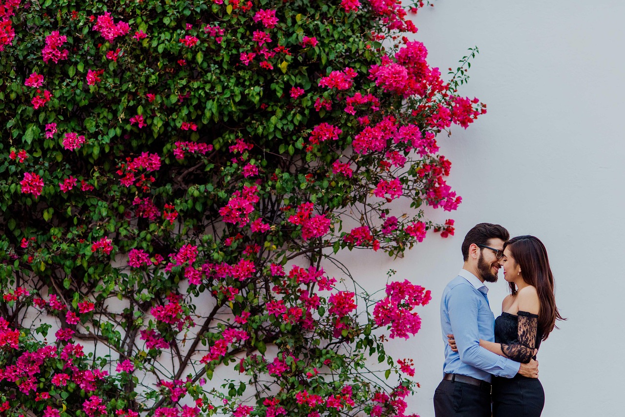 20,000+ Free Romantic Kissing & Couple Images - Pixabay