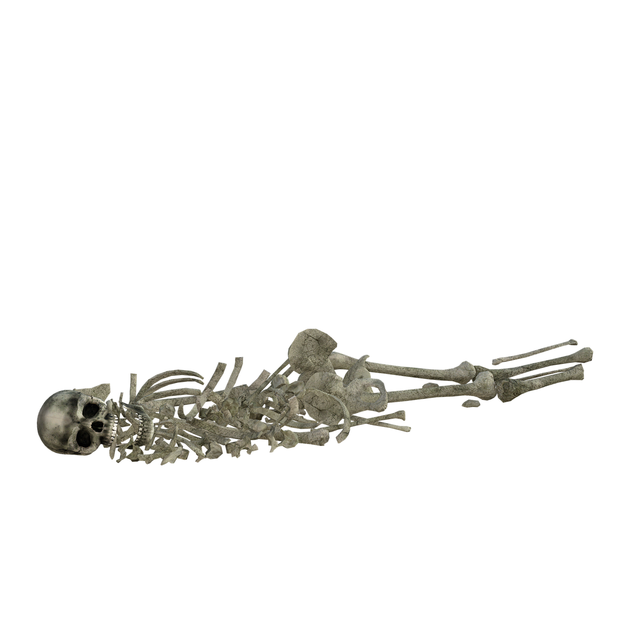Download Skeleton Bones Halloween Royalty Free Stock Illustration Image Download Skeleton Bones Halloween Royalty Free Stock Illustration Image