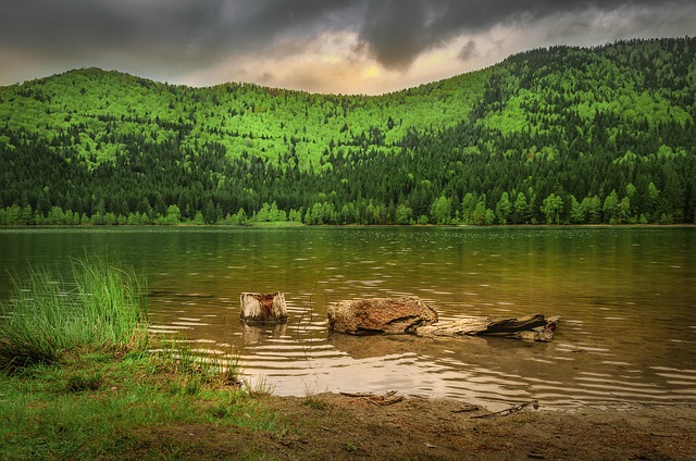 Lake Water Transylvania - Free photo on Pixabay
