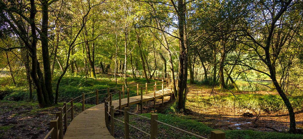 1,000+ Free Walking Trail & Trail Photos - Pixabay