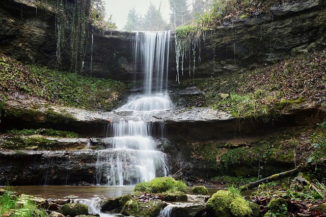 Wasserfall Wald Natur - Kostenloses Foto auf Pixabay - Pixabay