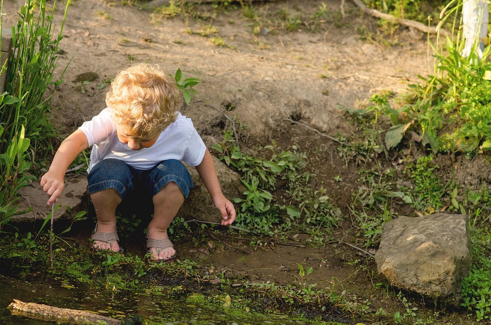 Little Boy Pond Lake - Free photo on Pixabay