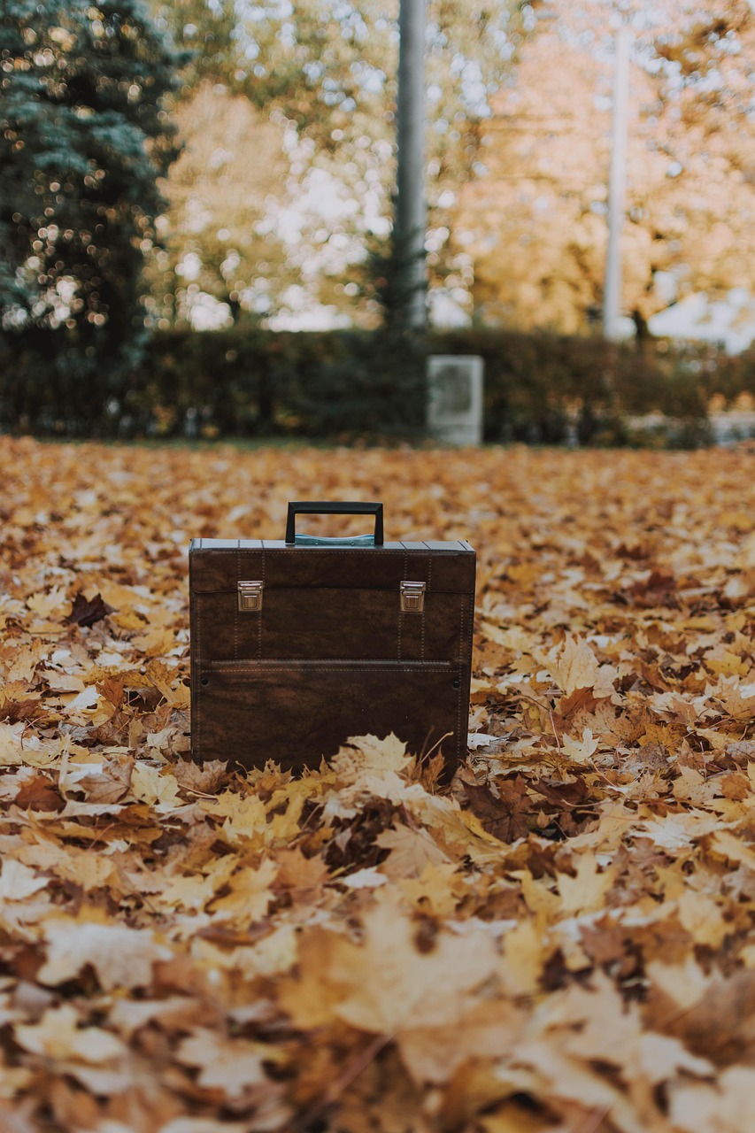 Page 3 - 1,000+ Free Koffer & Suitcase Images - Pixabay