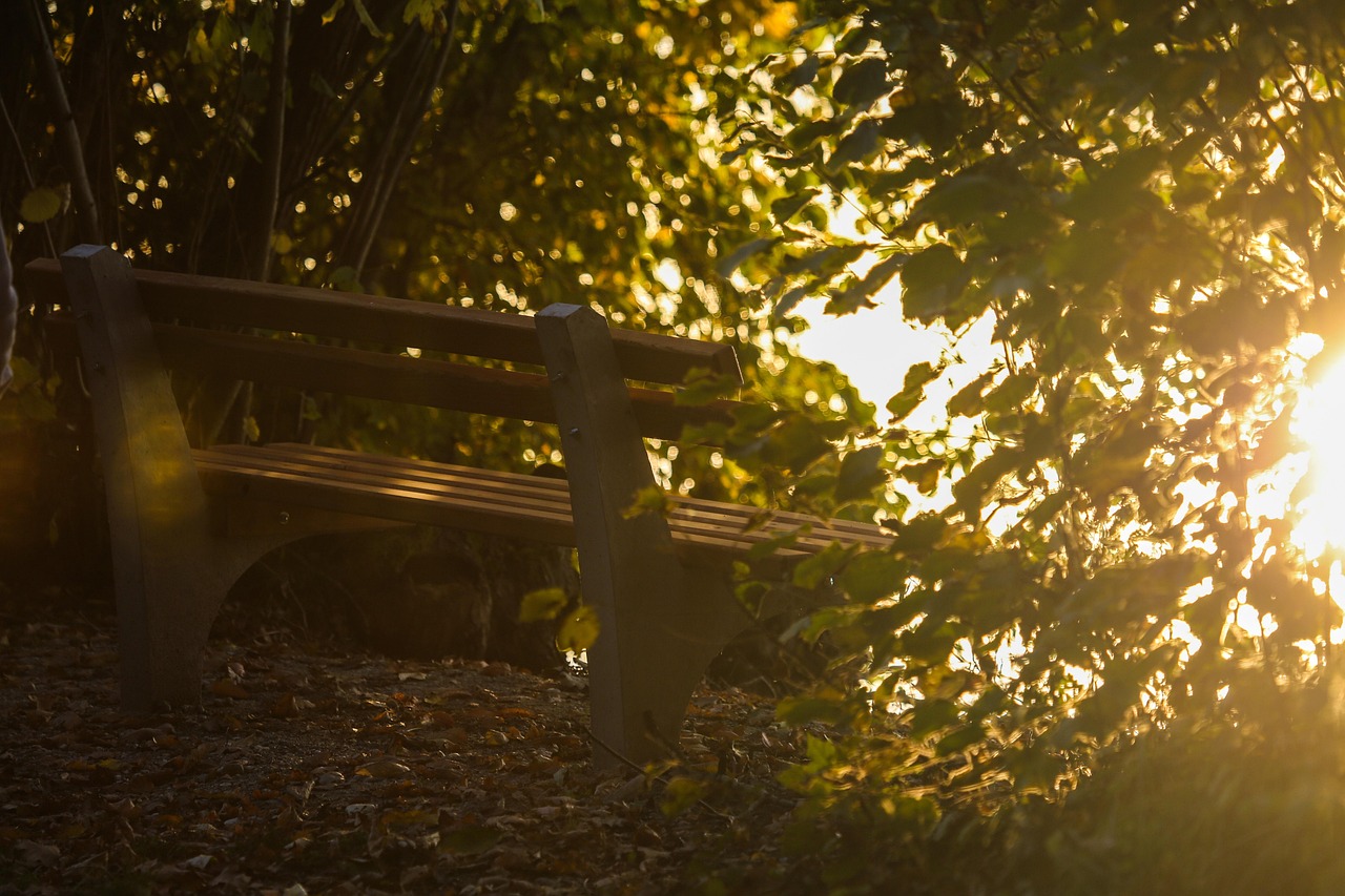 Bank To Sit Comfortable - Free photo on Pixabay - Pixabay