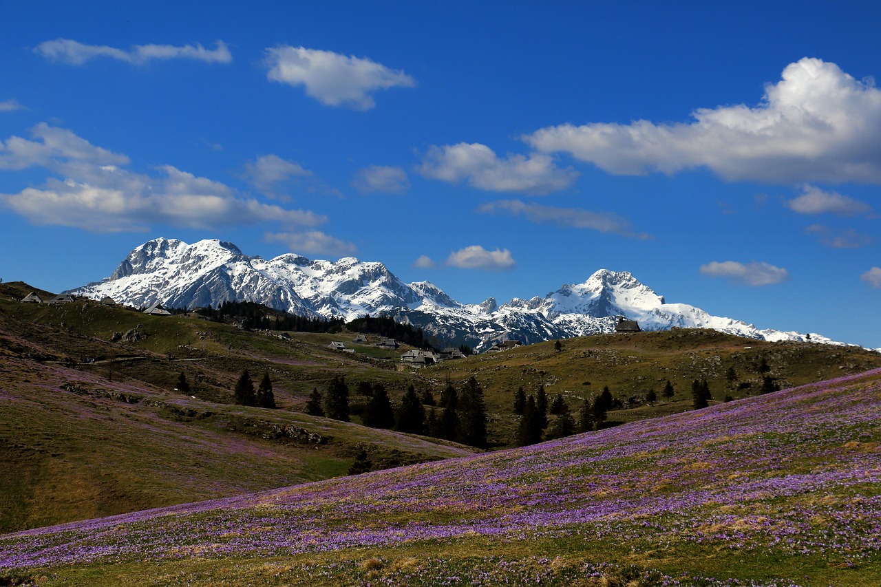 Más de 9 imágenes gratis de Kamnik y Eslovenia - Pixabay