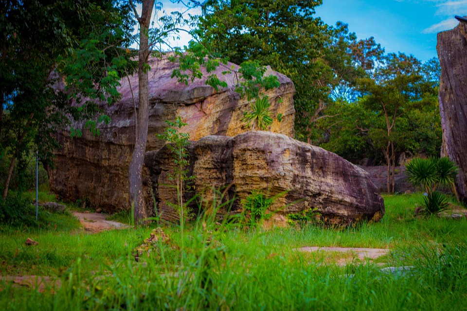 Rock Forest Mountain - Free photo on Pixabay - Pixabay