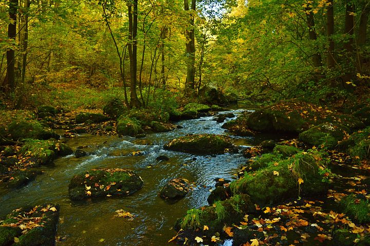 3,000+ Free Creeks & River Images