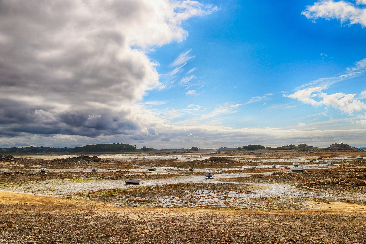 Plus de 5 000 images de Marée Basse et de Nature - Pixabay