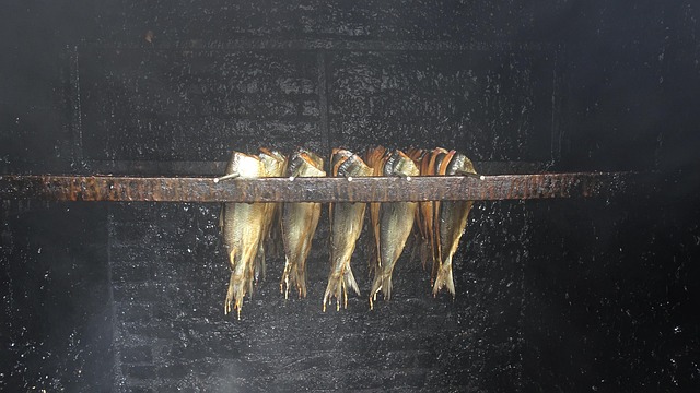 Smoked Herring Fish - Free photo on Pixabay - Pixabay