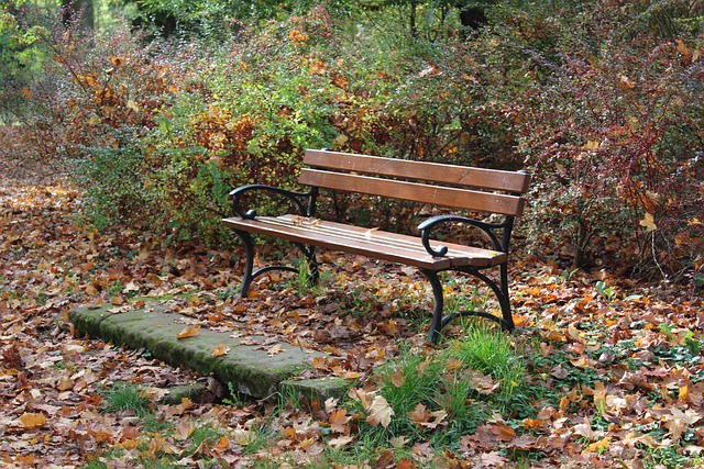 Park Bank Bench - Free photo on Pixabay - Pixabay