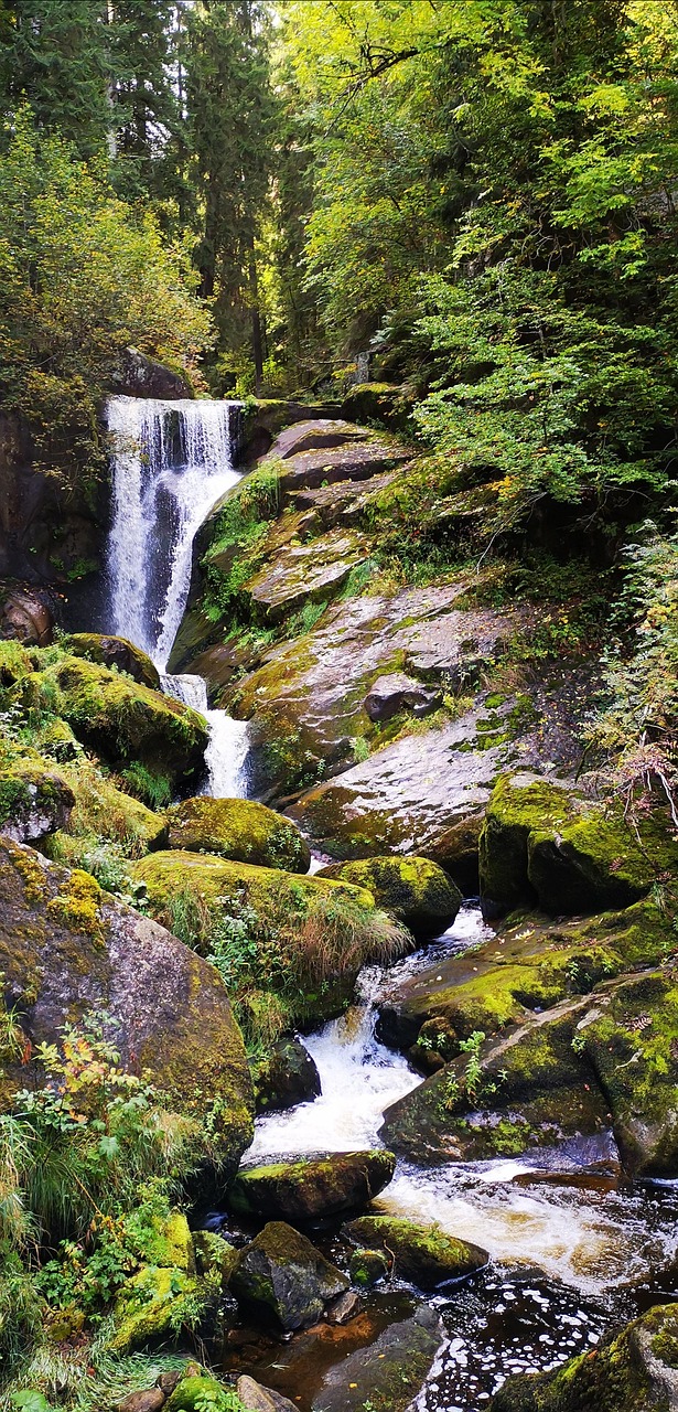 Forêt Noire Triberg Cascade - Photo gratuite sur Pixabay - Pixabay