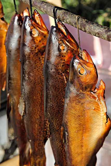 To Smoke Smoked Fish - Free photo on Pixabay