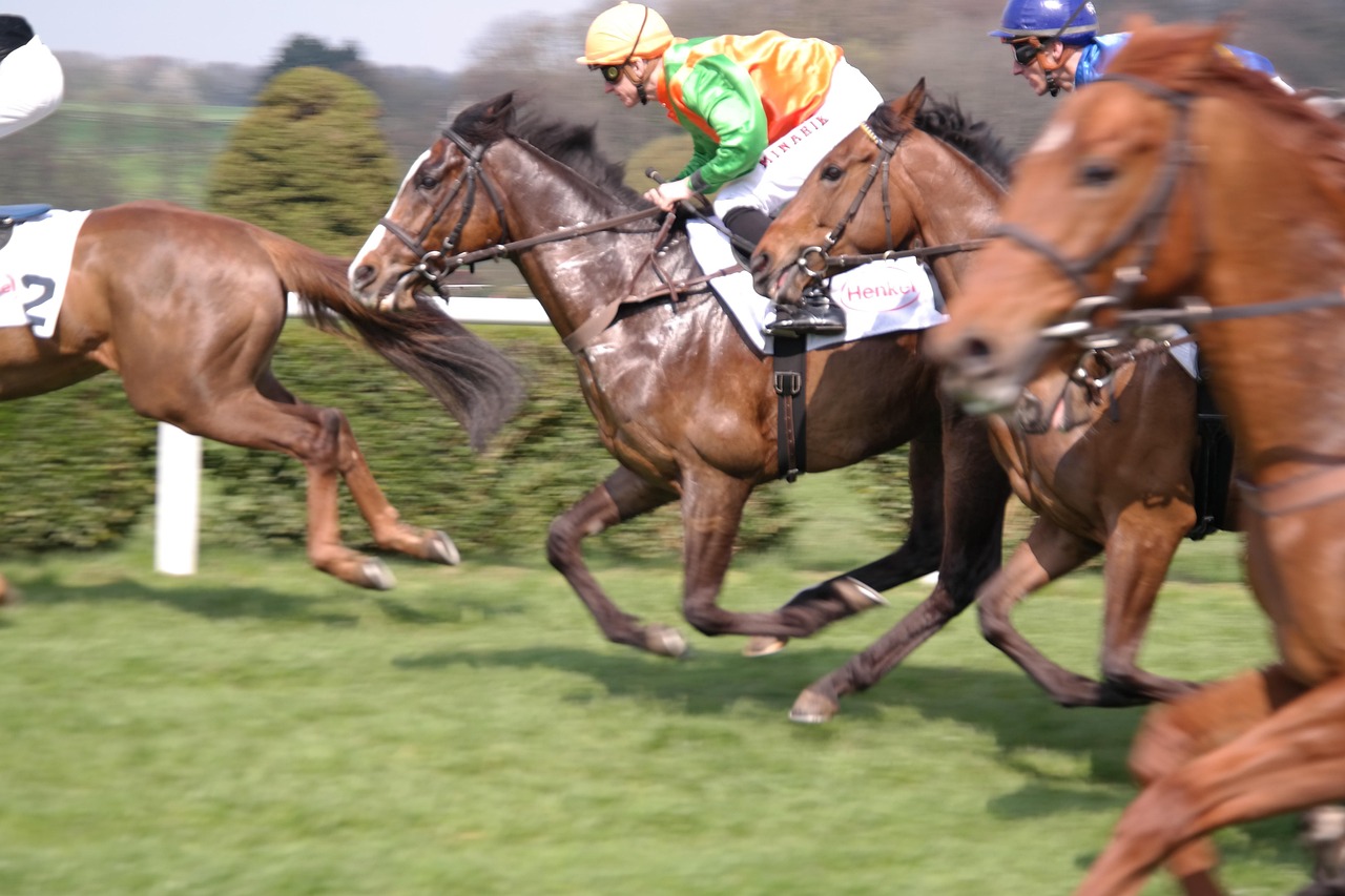 Horse Race Horses Equestrian - Free photo on Pixabay - Pixabay