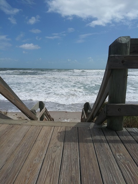 20,000+ Free Florida Beach & Florida Images - Pixabay