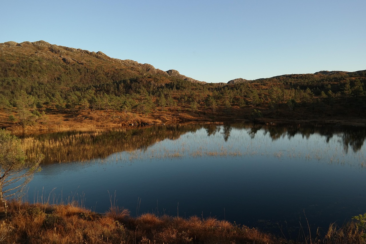 100,000+ Free Small Lake & Lake Photos - Pixabay