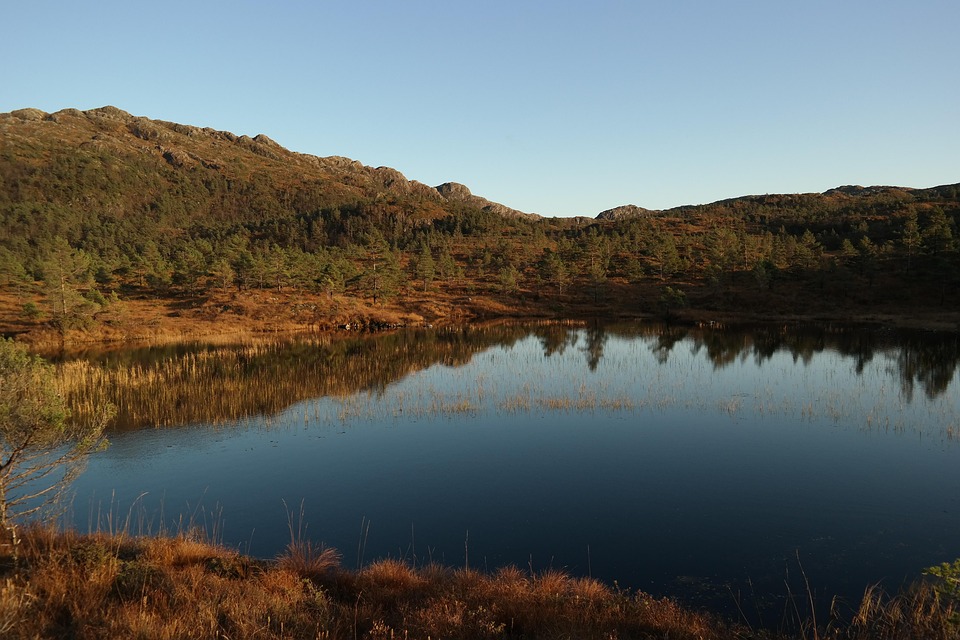 Small Lake Water Dark Blue - Free photo on Pixabay - Pixabay