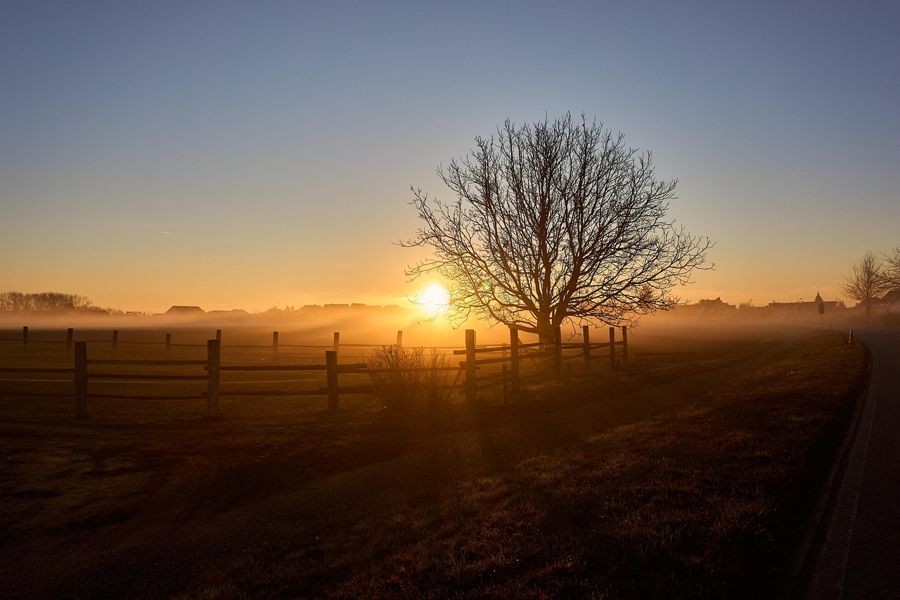 Sunrise Fence Wood - Free photo on Pixabay - Pixabay