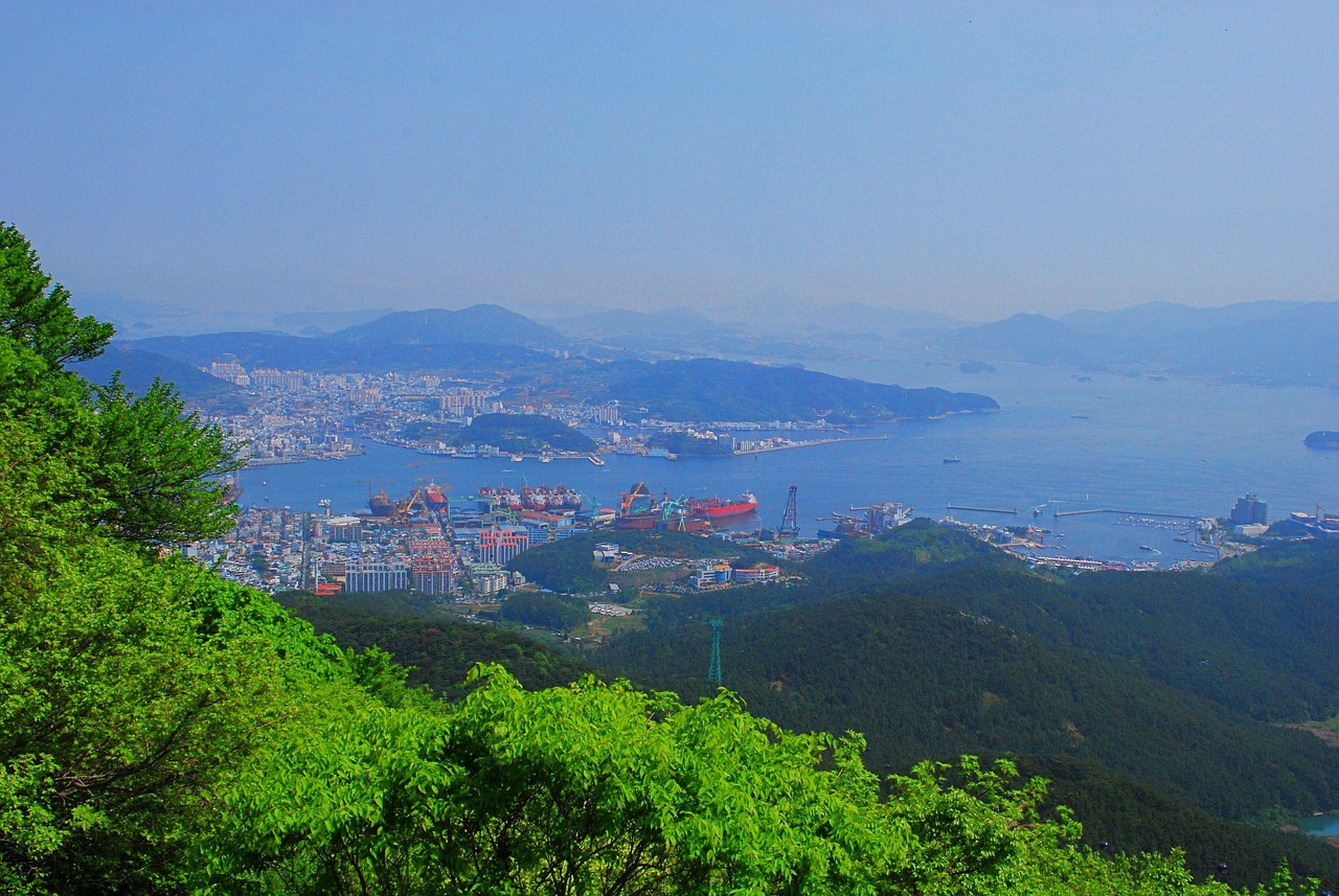 Harbor Ocean Forest - Free photo on Pixabay