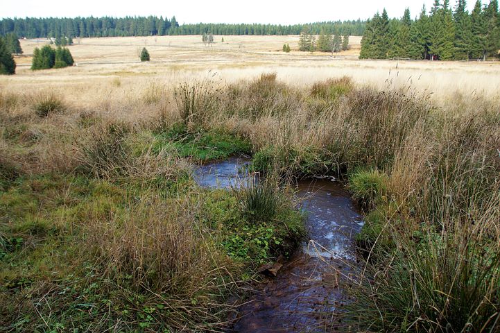 8+ Free Waterlogged Soil & Drizzle Images - Pixabay
