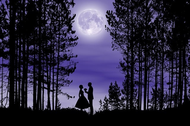Romantic Pic, 50,000+ Best Romantic Images in HD & 4K - Pixabay