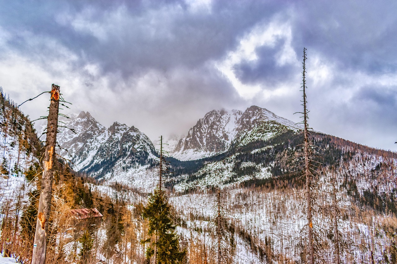 Lomnicky Stit Peak High - Free photo on Pixabay - Pixabay