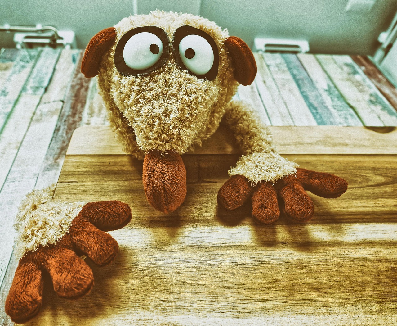 Stuffed Animal Funny Fun Free Photo On Pixabay