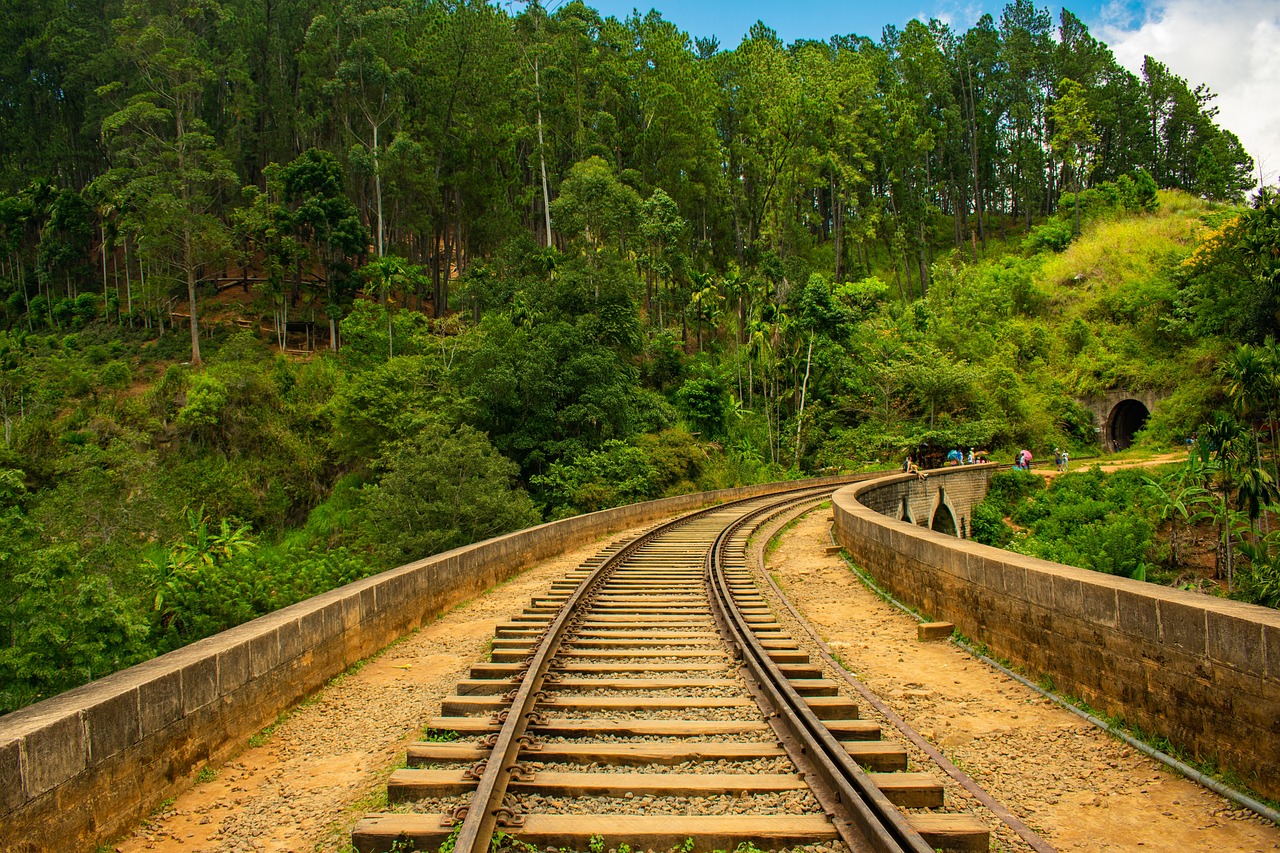 Estrada De Ferro Floresta Ferrovia - Foto gratuita no Pixabay - Pixabay