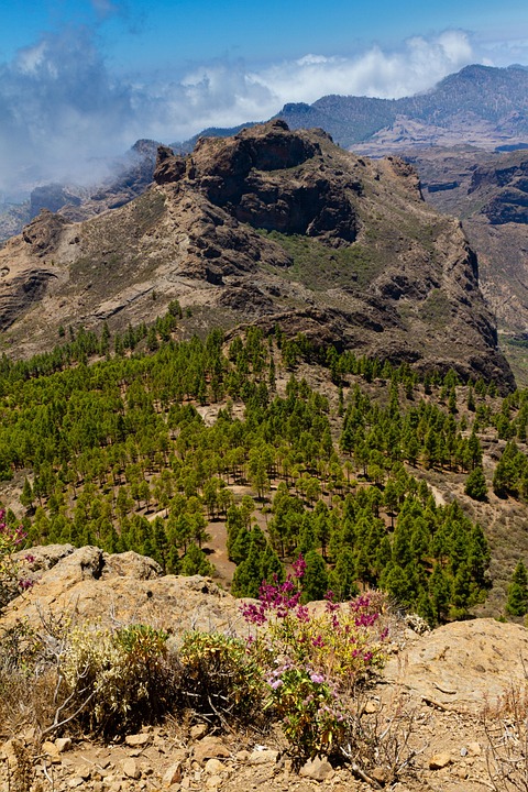 Paysage Montagne Nature - Free photo on Pixabay - Pixabay
