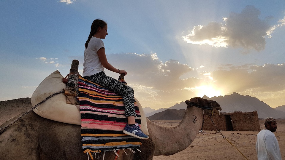 Egypt Camel Girl The - Free photo on Pixabay - Pixabay