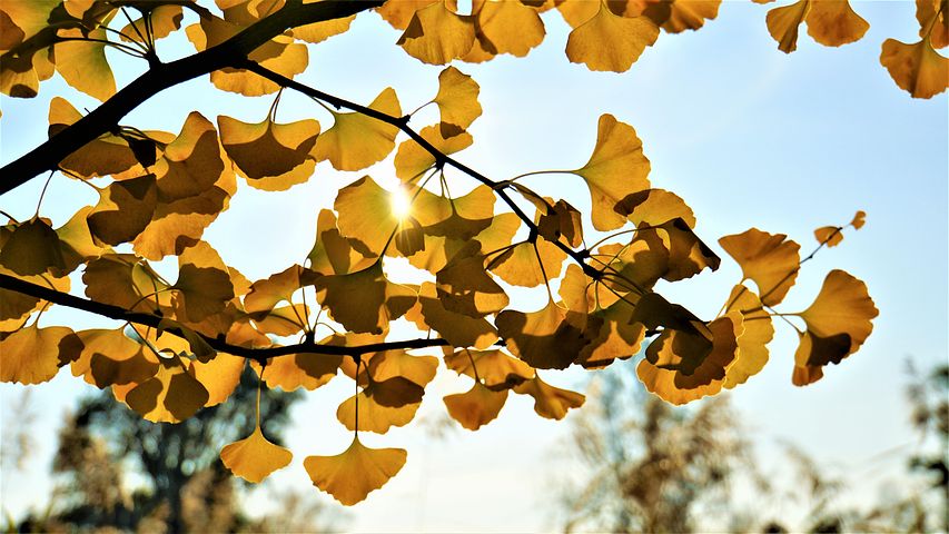 400+ Free Fresh Air & Nature Images