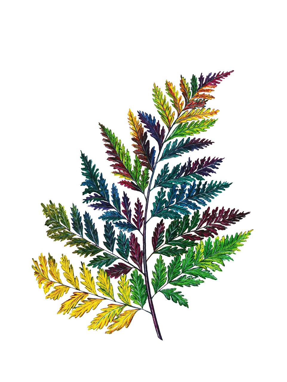 100+ Free Aesthetic Branches & Nature Images - Pixabay